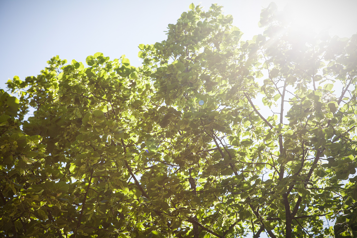 Mörby Centrum-Danderyd - Bara mineraler