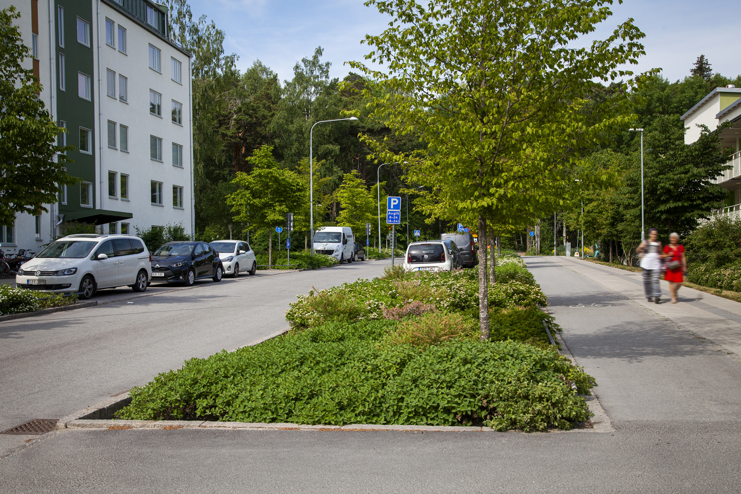 Regnbäddar för hållbar dagvattenhantering - Bara Mineraler