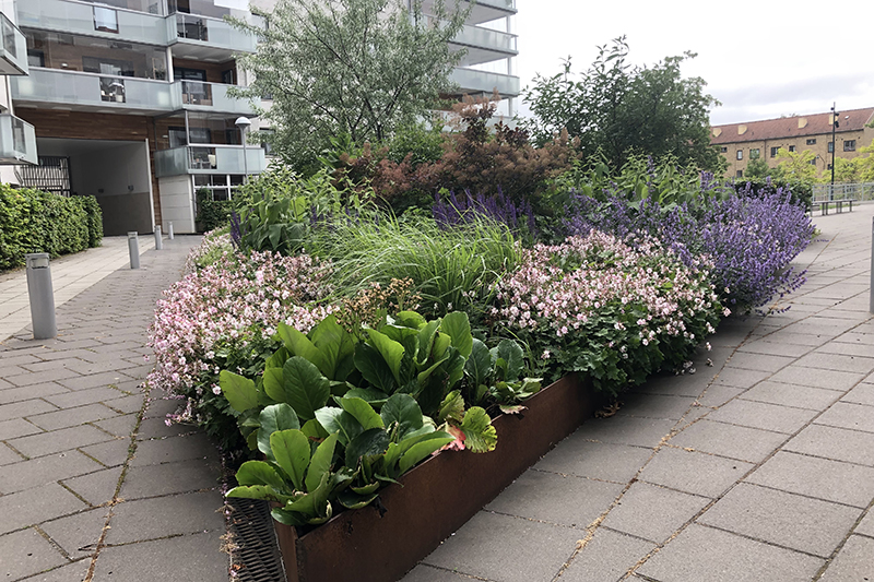 Prärieinspirerad bjälklagsgård i Lund - Bara mineraler